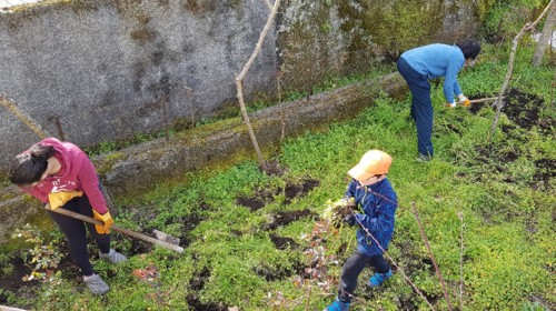 Vamos recuperar o quintal da avó Maria! - Linhas e tintas