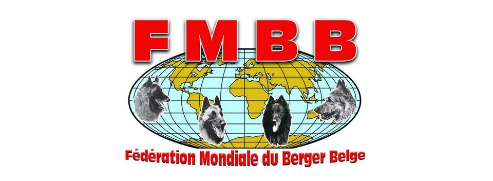 Campeonato Mundial da FMBB de 2025 - T o v i