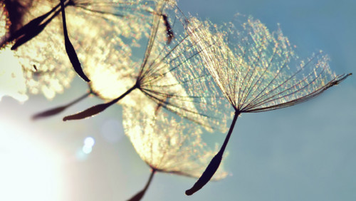 Ó São Pedro, baixa lá aí um pouco a temperatura do forno, s.f.f.!! - Ó ...