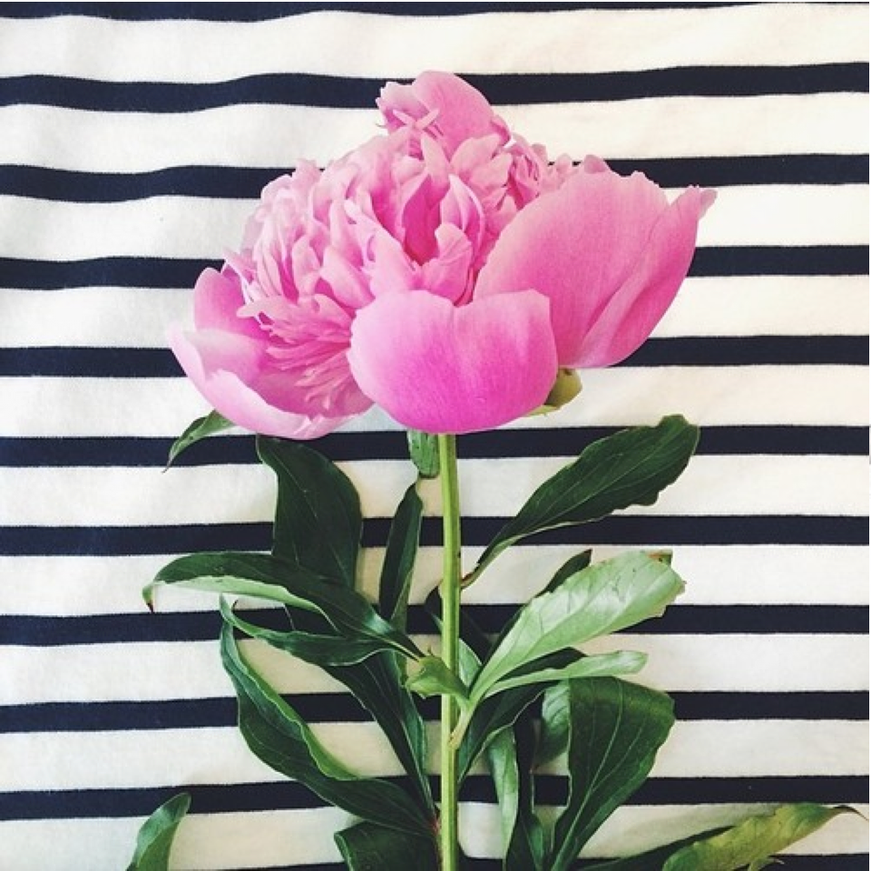 flower inspo - Style It Up