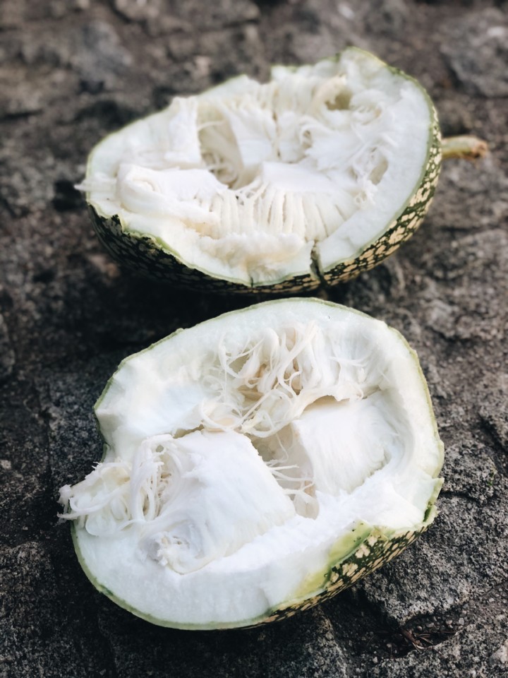 Doce de Chila - Como preparar? - GO CAROL